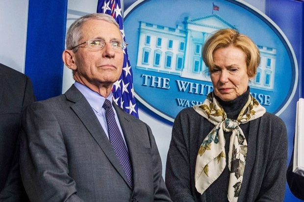 Fauci/Birx Exclusive — Murder Hornet Apocalypse! End of America As We ...